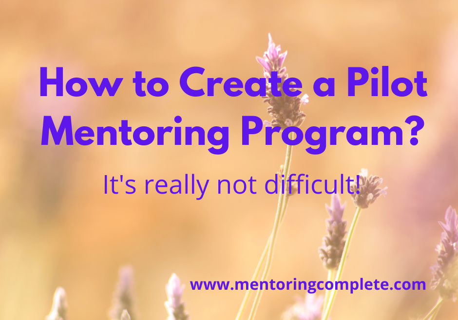 Learn How To Create A Pilot Mentoring Program - Mentoring Complete